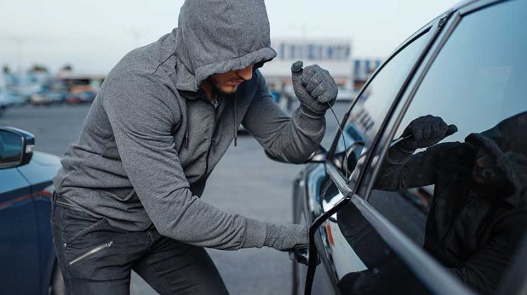 Vehicle theft figures reveal hybrid focus